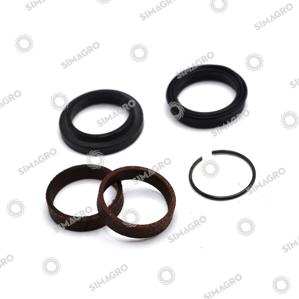Reparo de TDF Massey Ferguson – Sparex | Simagro
