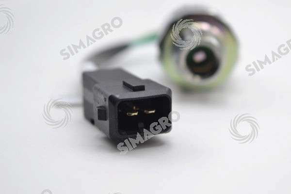 Sensor de presión Massey Ferguson | Simagro